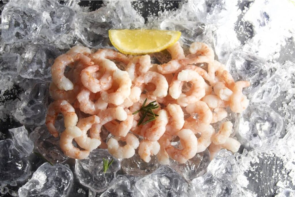 Nordic Shrimp Matane - 5lb | Somerled Seafood